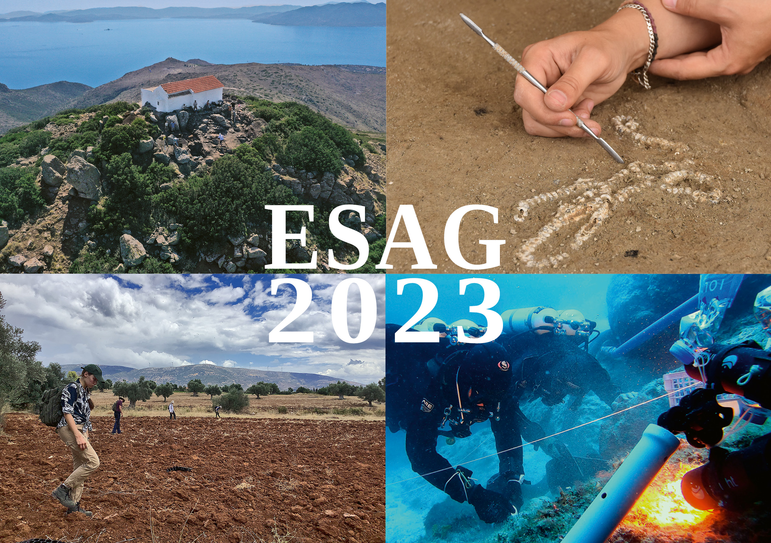 Open Meeting 2024 - ESAG