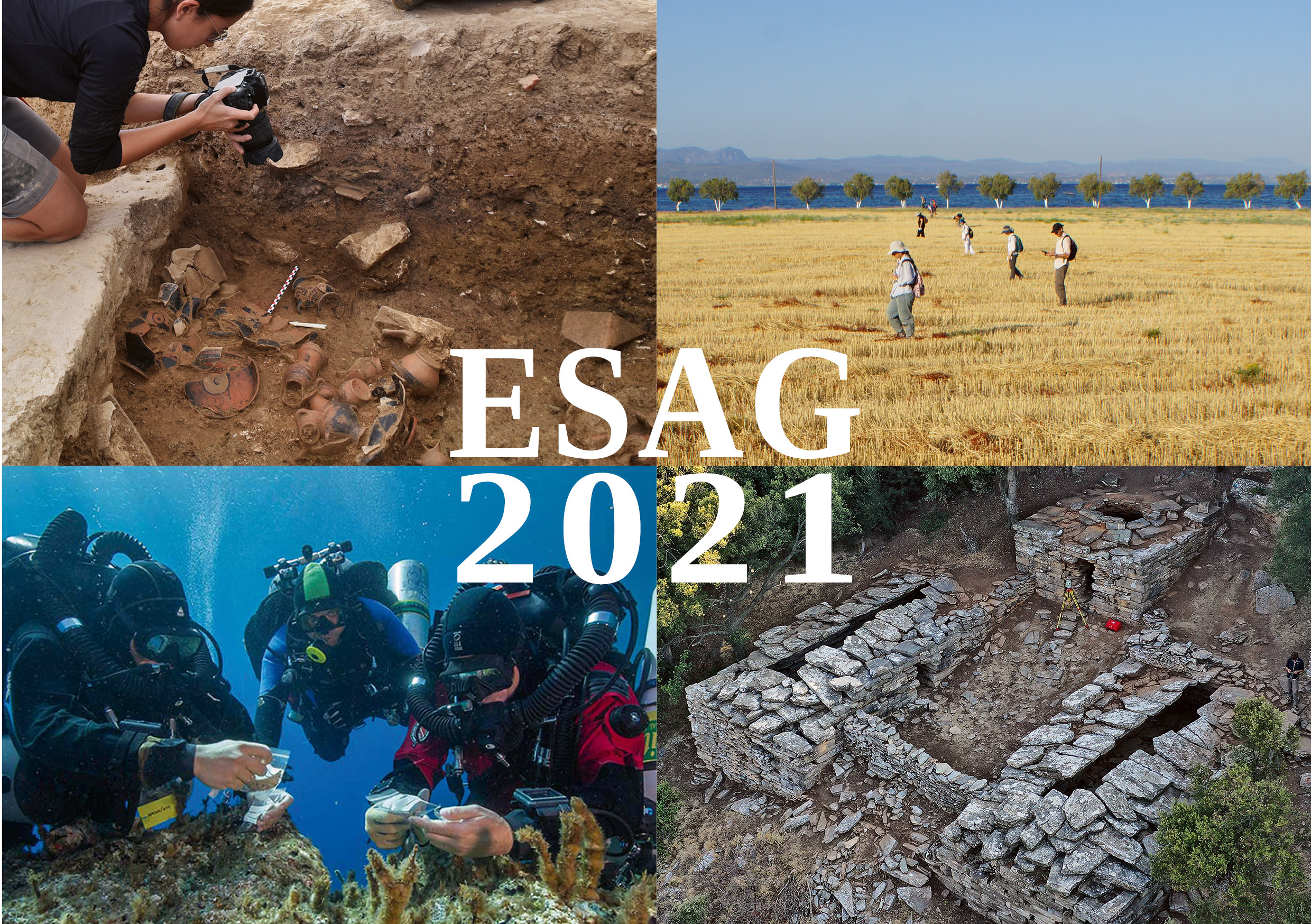 Open Meeting 2022 - ESAG